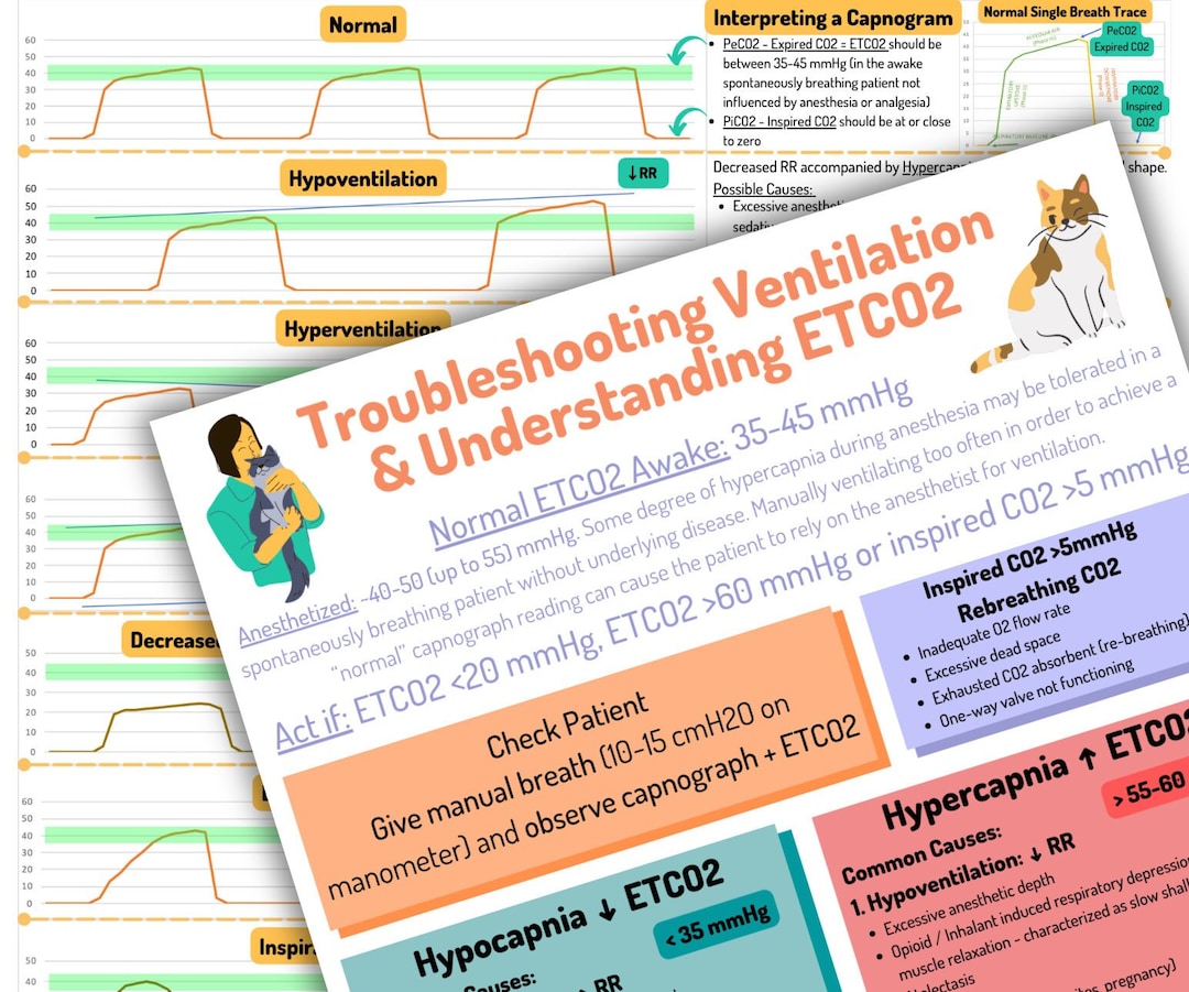 Printable Veterinary ETCO2 Capnography Guide - Etsy