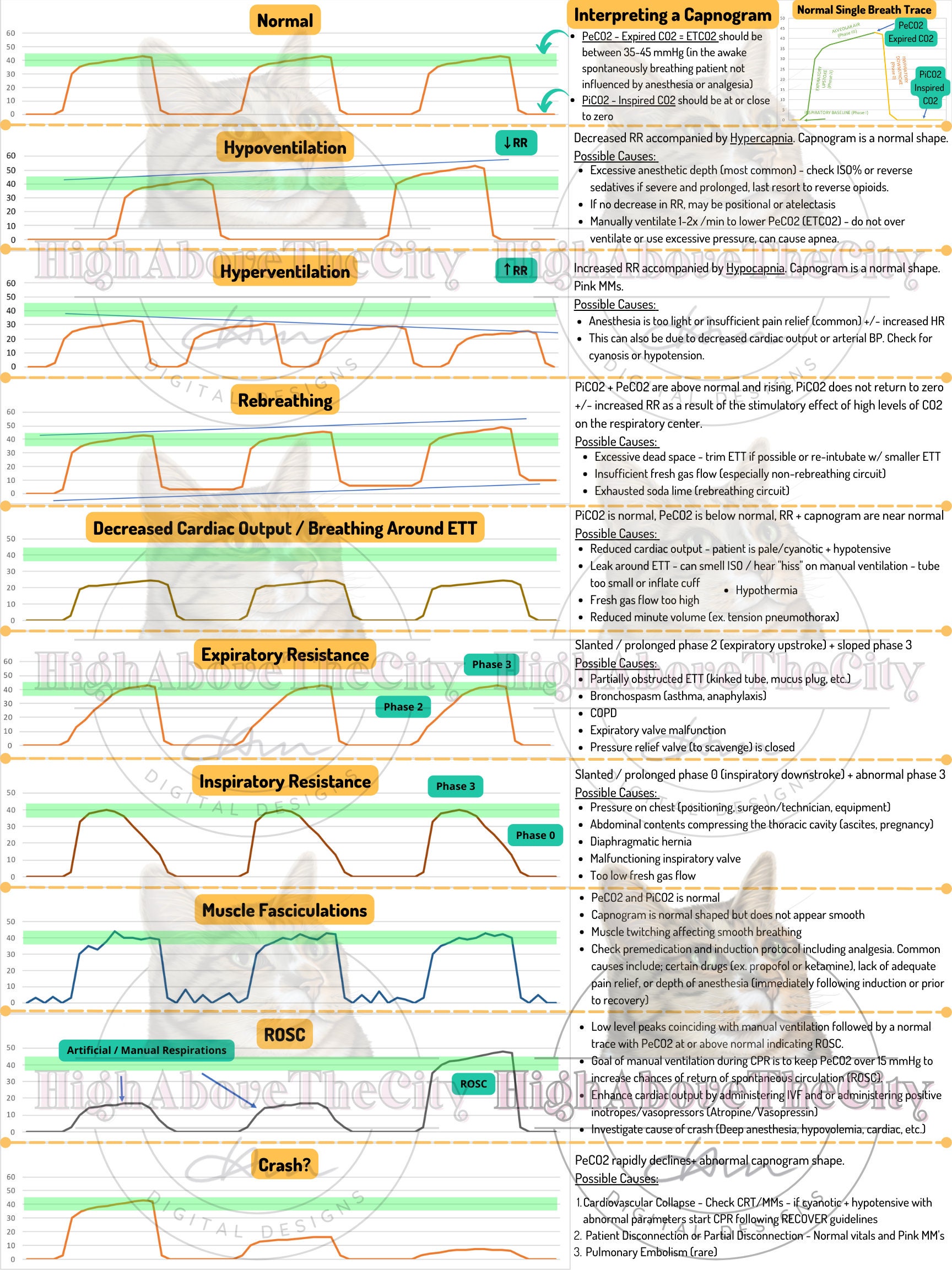 Printable Veterinary ETCO2 Capnography Guide - Etsy Australia