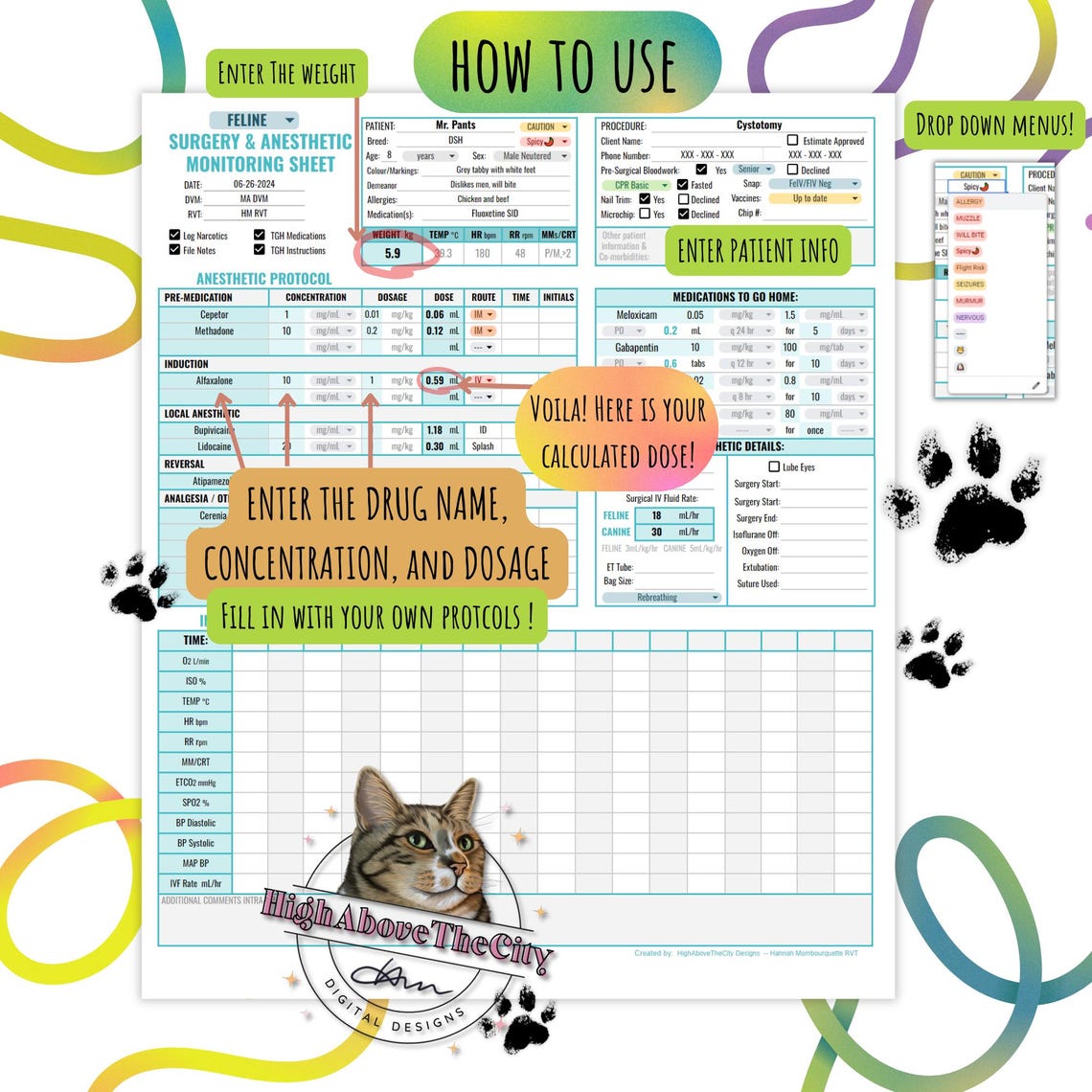 MAKE YOUR OWN - Veterinary Anesthesia Protocol: Auto-calculated Excel ...