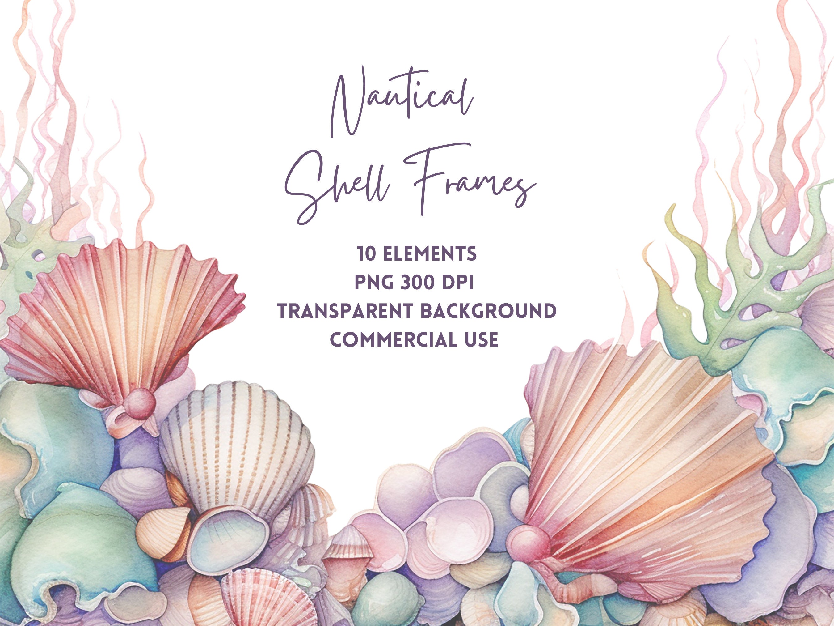 Seashell Border Clip Art