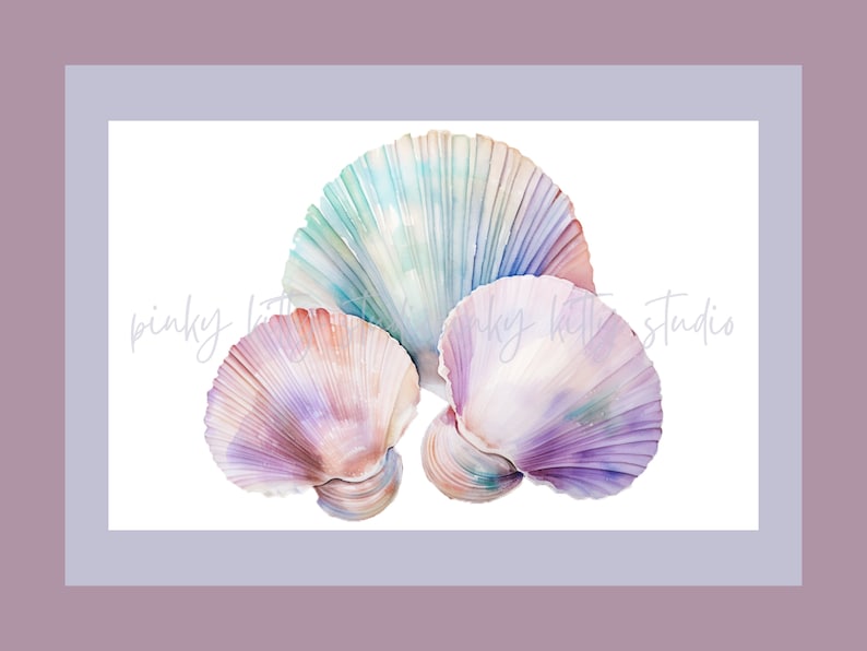 Watercolor Shell Clip Art Clipart Pearl Gift for Her - Etsy