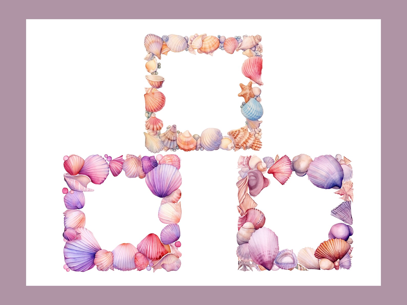 Watercolor Seashell Frame Clip Art | Nautical Clipart | Shell Decor ...