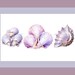 Shell Watercolor Clip Art | Watercolor Purple Seashell Clipart | Gift ...