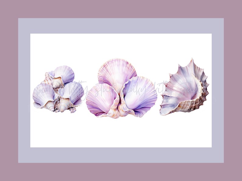 Shell Watercolor Clip Art | Watercolor Purple Seashell Clipart | Gift ...