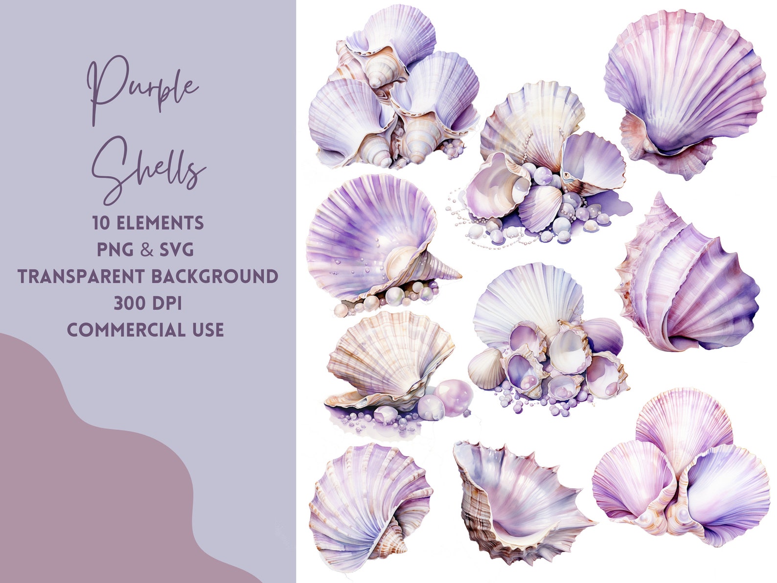 Shell Watercolor Clip Art | Watercolor Purple Seashell Clipart | Gift ...