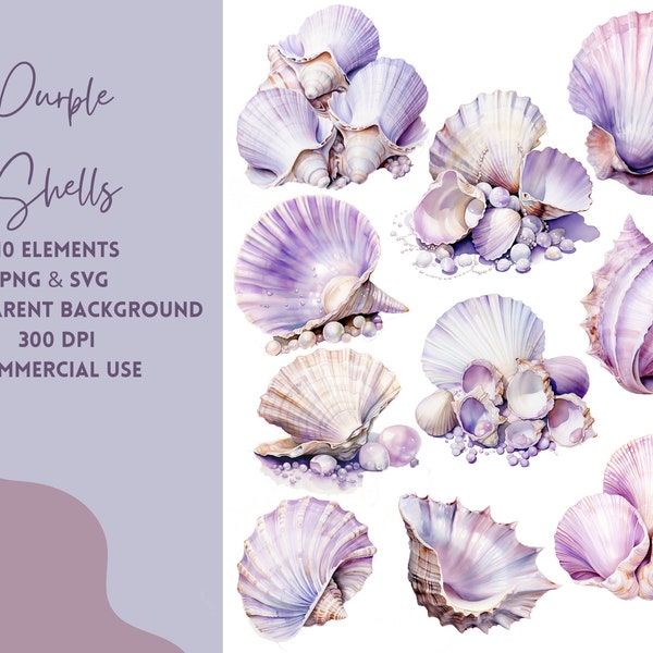 Purple Seashell Clipart - Etsy