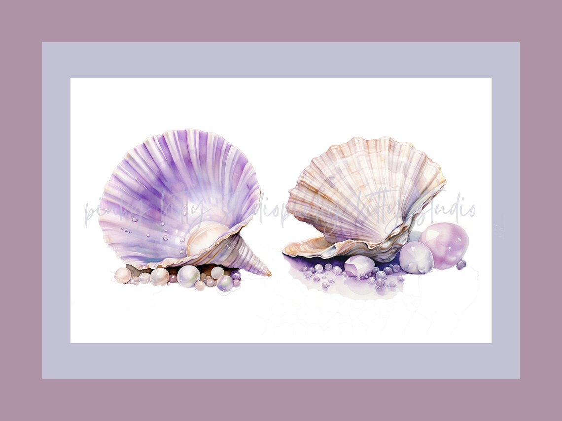 Shell Watercolor Clip Art Watercolor Purple Seashell Clipart Gift for ...