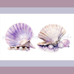Shell Watercolor Clip Art | Watercolor Purple Seashell Clipart | Gift ...