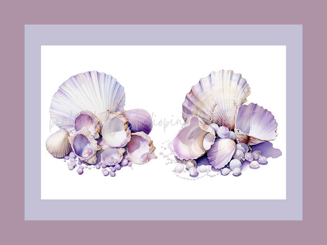 Shell Watercolor Clip Art Watercolor Purple Seashell Clipart Gift for ...