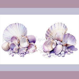 Shell Watercolor Clip Art | Watercolor Purple Seashell Clipart | Gift ...