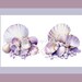 Shell Watercolor Clip Art | Watercolor Purple Seashell Clipart | Gift ...
