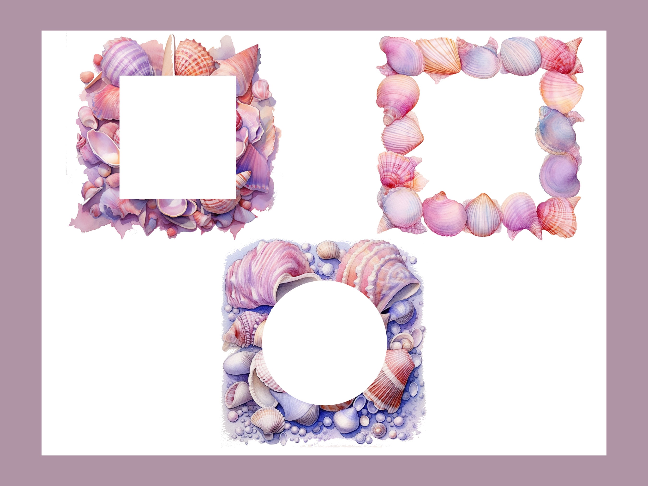 Watercolor Seashell Frame Clip Art Nautical Clipart Shell Decor Digital ...