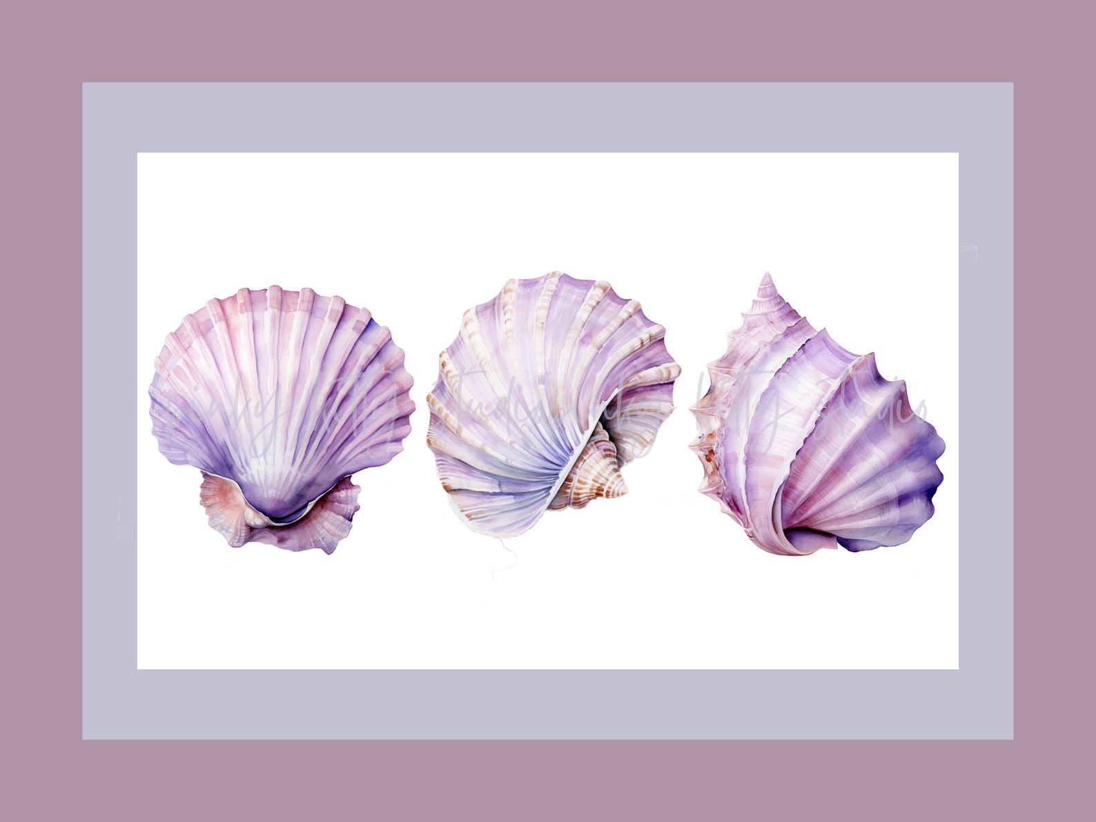 Shell Watercolor Clip Art | Watercolor Purple Seashell Clipart | Gift ...