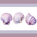 Shell Watercolor Clip Art | Watercolor Purple Seashell Clipart | Gift ...