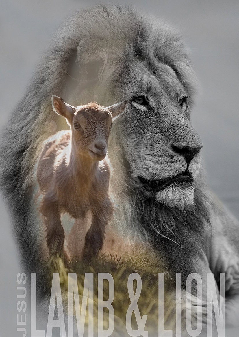 CANVAS Lion and Lamb, Amazing Christian Digital Painting, Christian ...