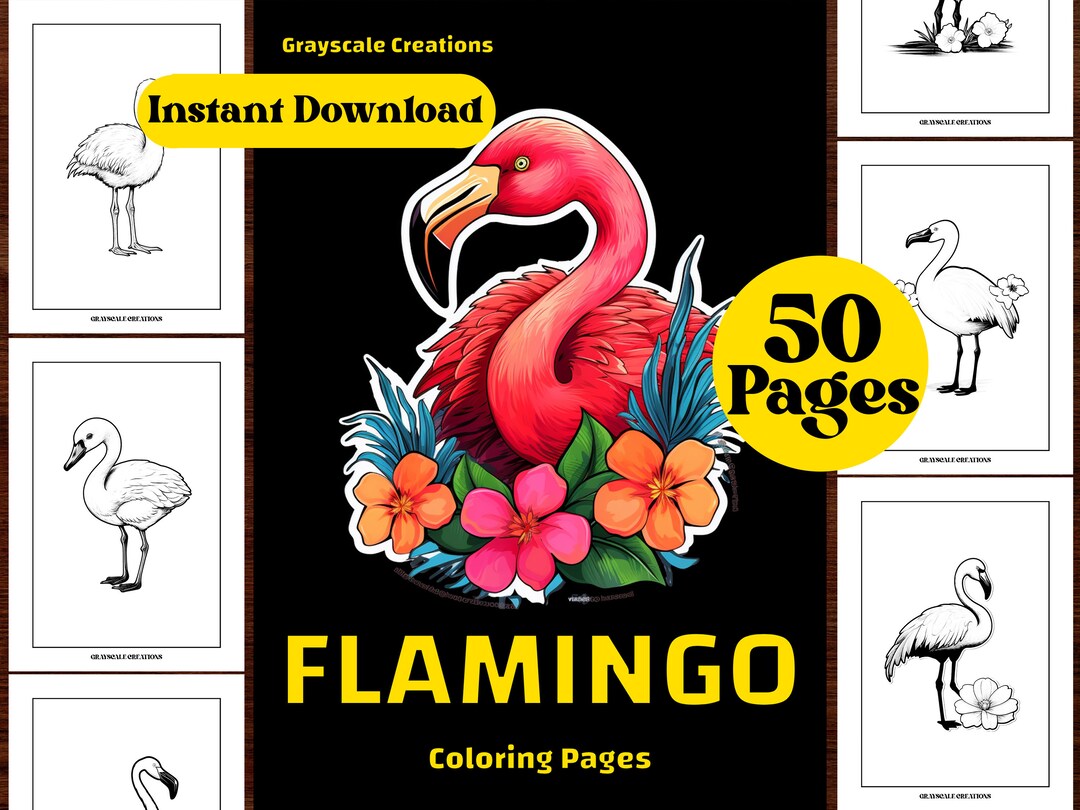 50 Flamingo Animal Coloring Page Book, Woodland Wildlife Fantasy ...