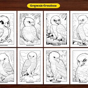 50 Cute Eagle Coloring Page Book, Printable PDF Sheets, Instant ...
