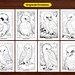 50 Cute Eagle Coloring Page Book, Printable PDF Sheets, Instant ...
