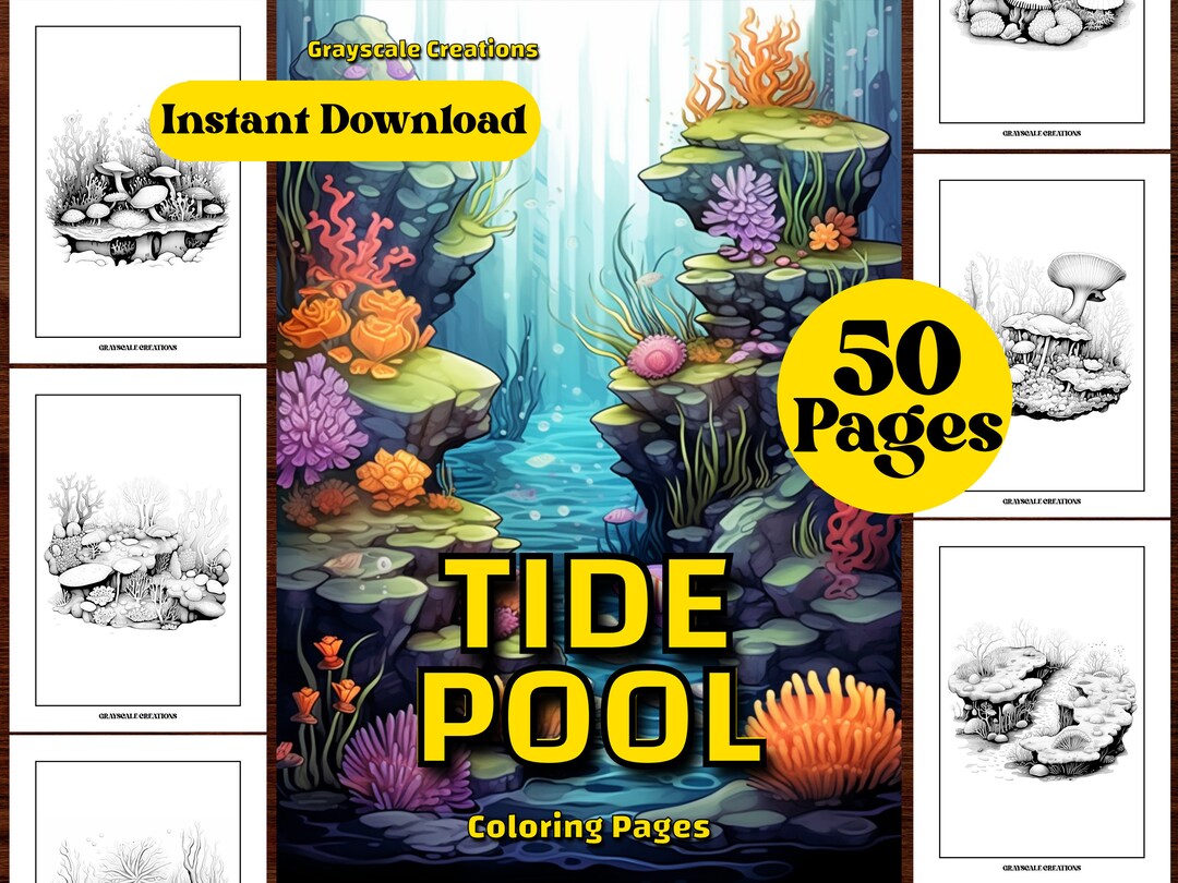 50 Tide Pool Page Book, Fantasy Enchanted Places Landscape, Birthday ...