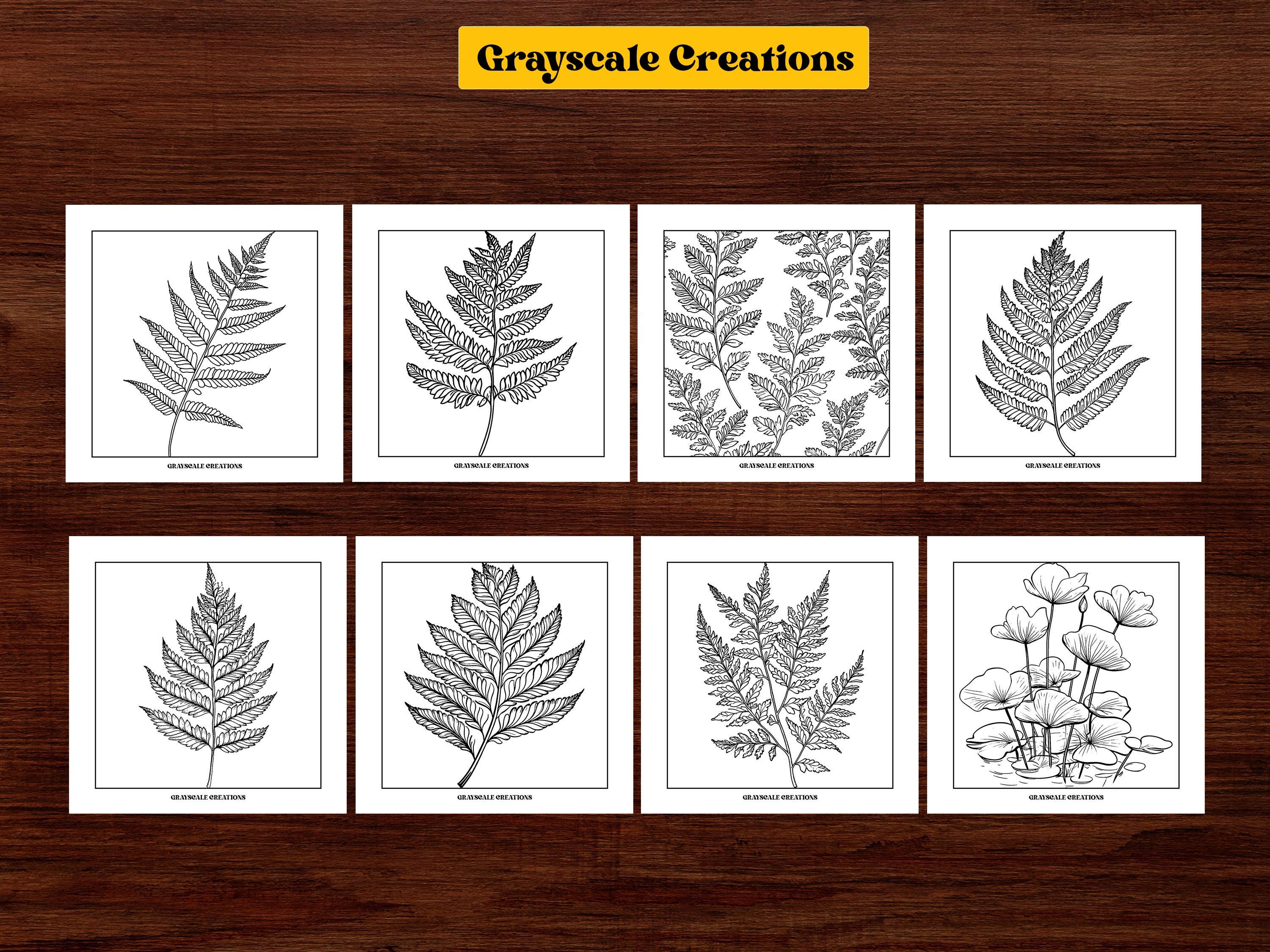 50 Plants Fern Realistic Coloring Page Book, Herbs Floral Nature ...