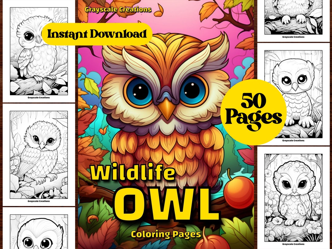 50 Cute Owl Coloring Page Book, Printable PDF Sheets, Instant Download ...