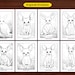 50 Cute Kangaroo Coloring Page Book, Printable PDF Sheet, Instant ...