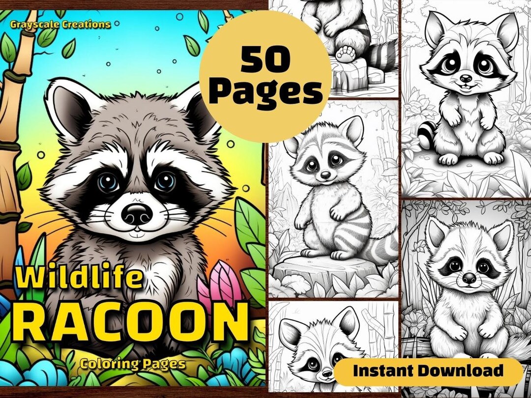 50 Cute Raccoon Coloring Page Book Printable PDF Sheets - Etsy