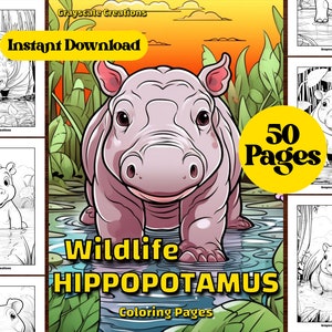 50 Cute Hippopotamus Coloring Page Book, Printable PDF Sheets, Instant ...