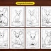 50 Cute Kangaroo Coloring Page Book, Printable PDF Sheet, Instant ...