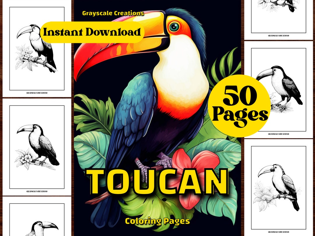 50 Toucan Animal Coloring Page Book, Woodland Wildlife Fantasy ...