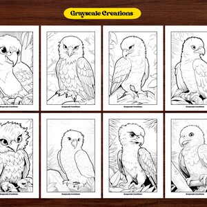 50 Cute Eagle Coloring Page Book, Printable PDF Sheets, Instant ...