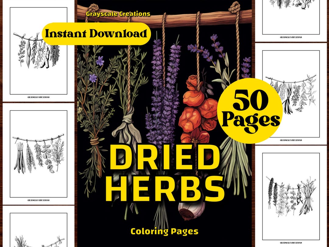 50 Dried Herbs Coloring Page Book, Nature Botanical Flower Floral ...