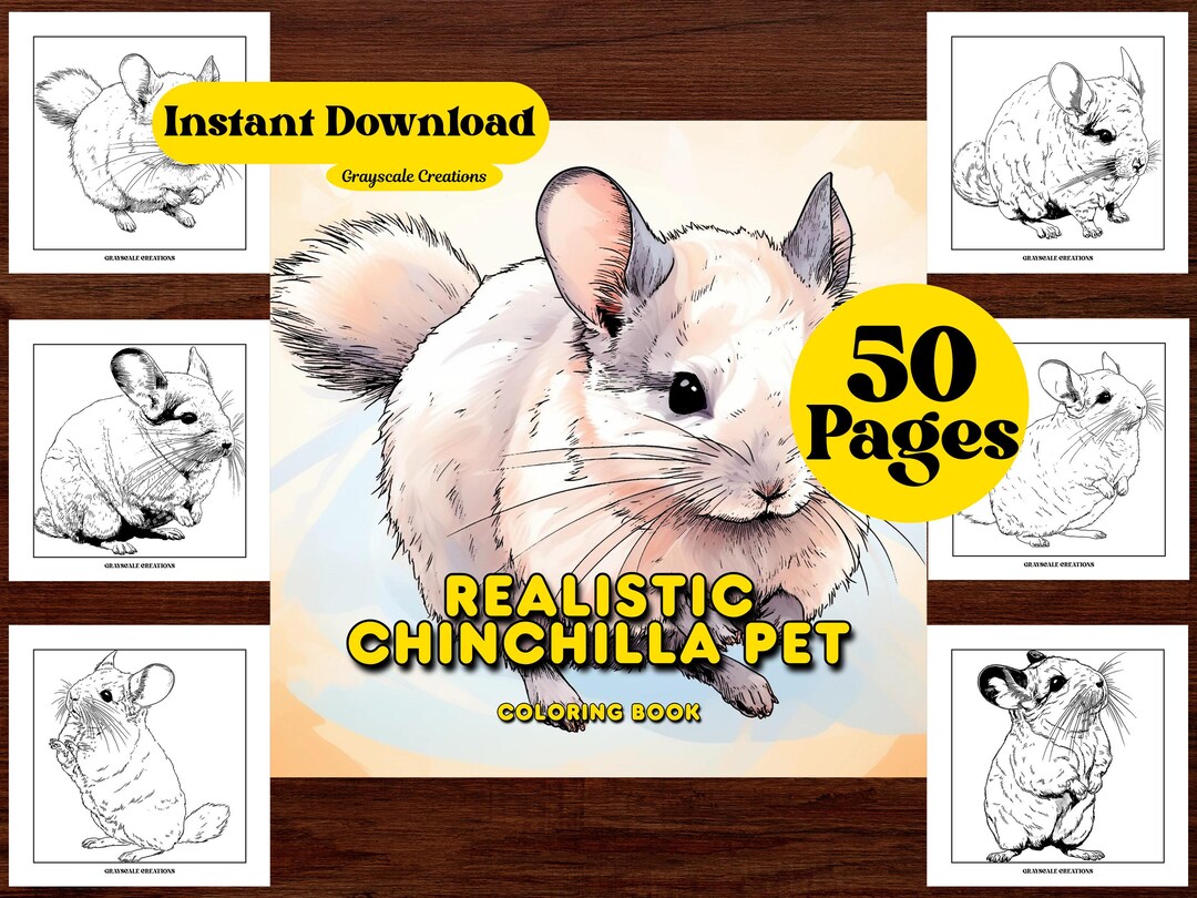 50 Pet Chinchilla Realistic Animals Coloring Pages – Printable Digital ...