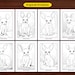 50 Cute Kangaroo Coloring Page Book, Printable PDF Sheet, Instant ...
