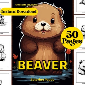 50 Beaver Animal Coloring Page Book, Woodland Wildlife Fantasy ...