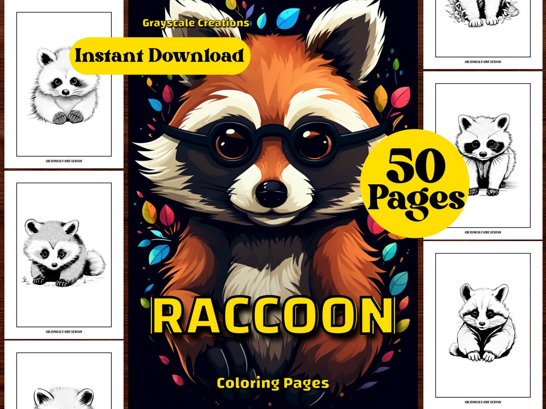 50 Raccoon Animal Coloring Page Book, Woodland Wildlife Fantasy ...
