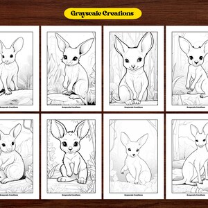 50 Cute Kangaroo Coloring Page Book, Printable PDF Sheet, Instant ...
