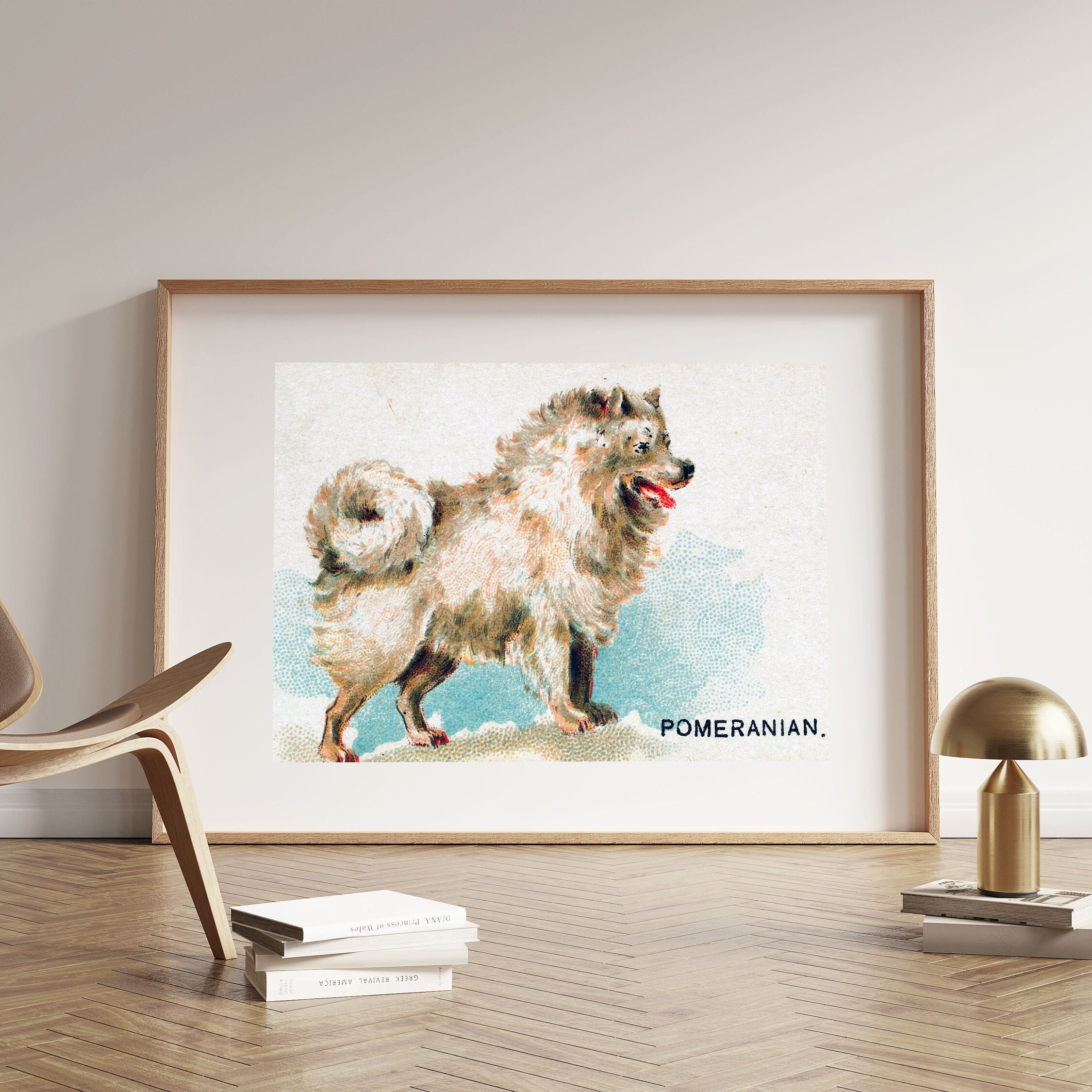 Vintage Pomeranian Printable, Pomeranian Wall Art, Pomeranian ...