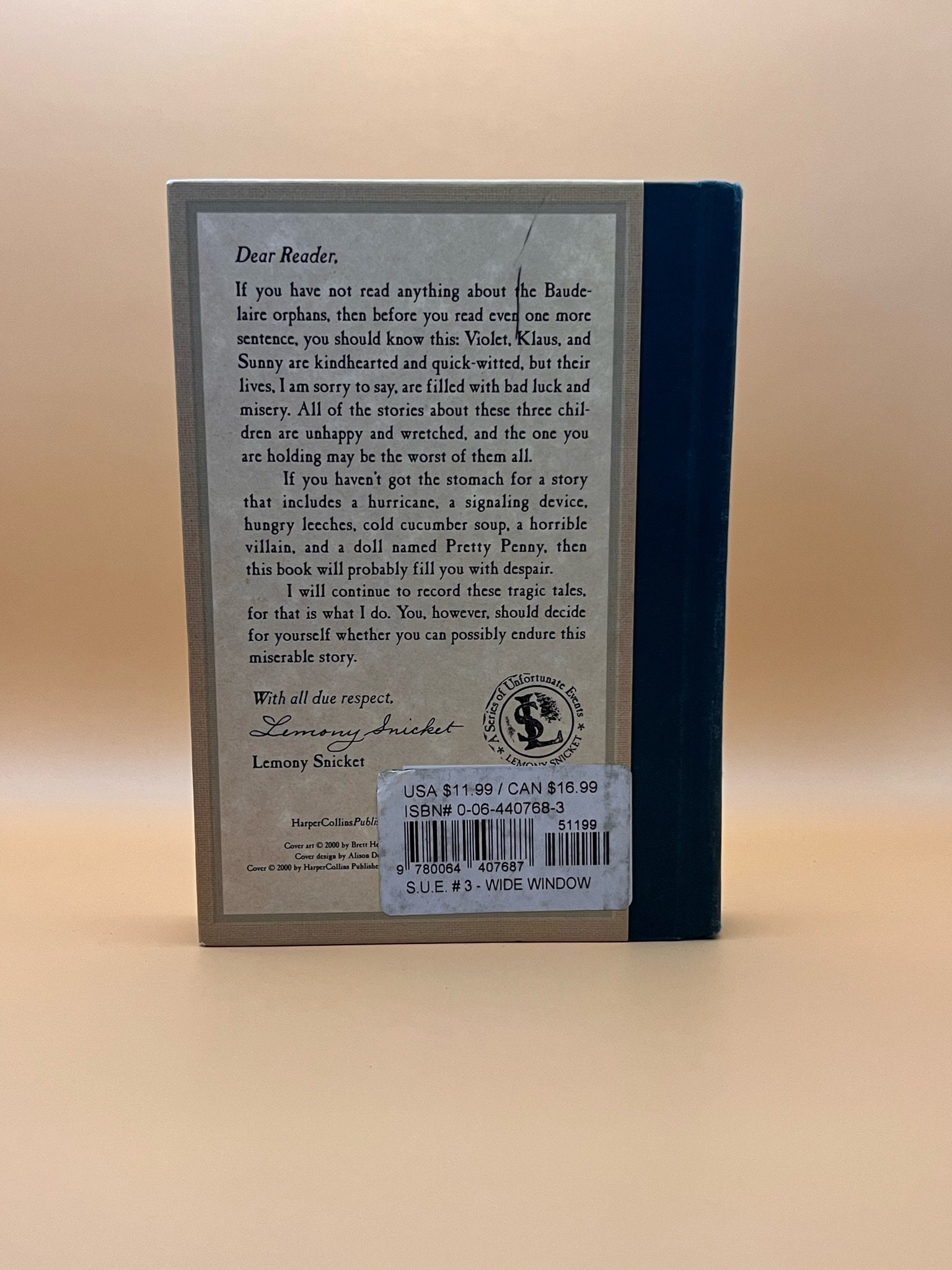 The Wide Window A Series of Unfortunate Events Book 3 by - Etsy