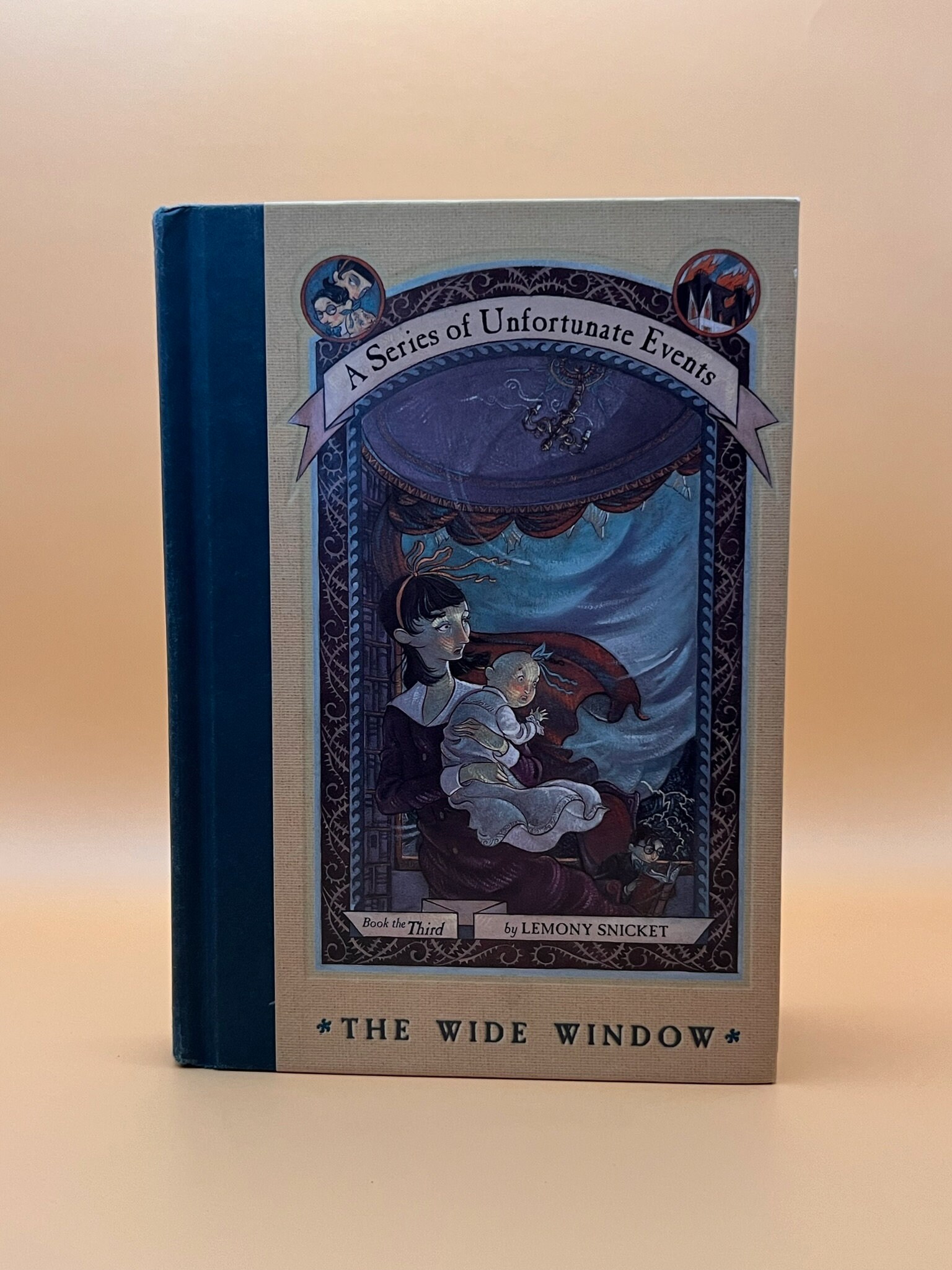 The Wide Window A Series of Unfortunate Events Book 3 by - Etsy