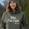 Yes I'm Still Freezing Hoodie Winter Weather Hoodie Cold Weather ...