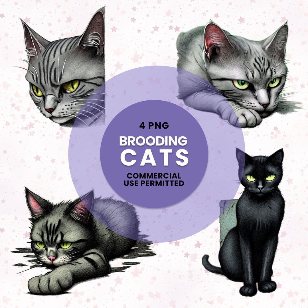 Brooding Cat Clipart Sublimation PNG Angry Cats Clip Art for Cardmaking ...