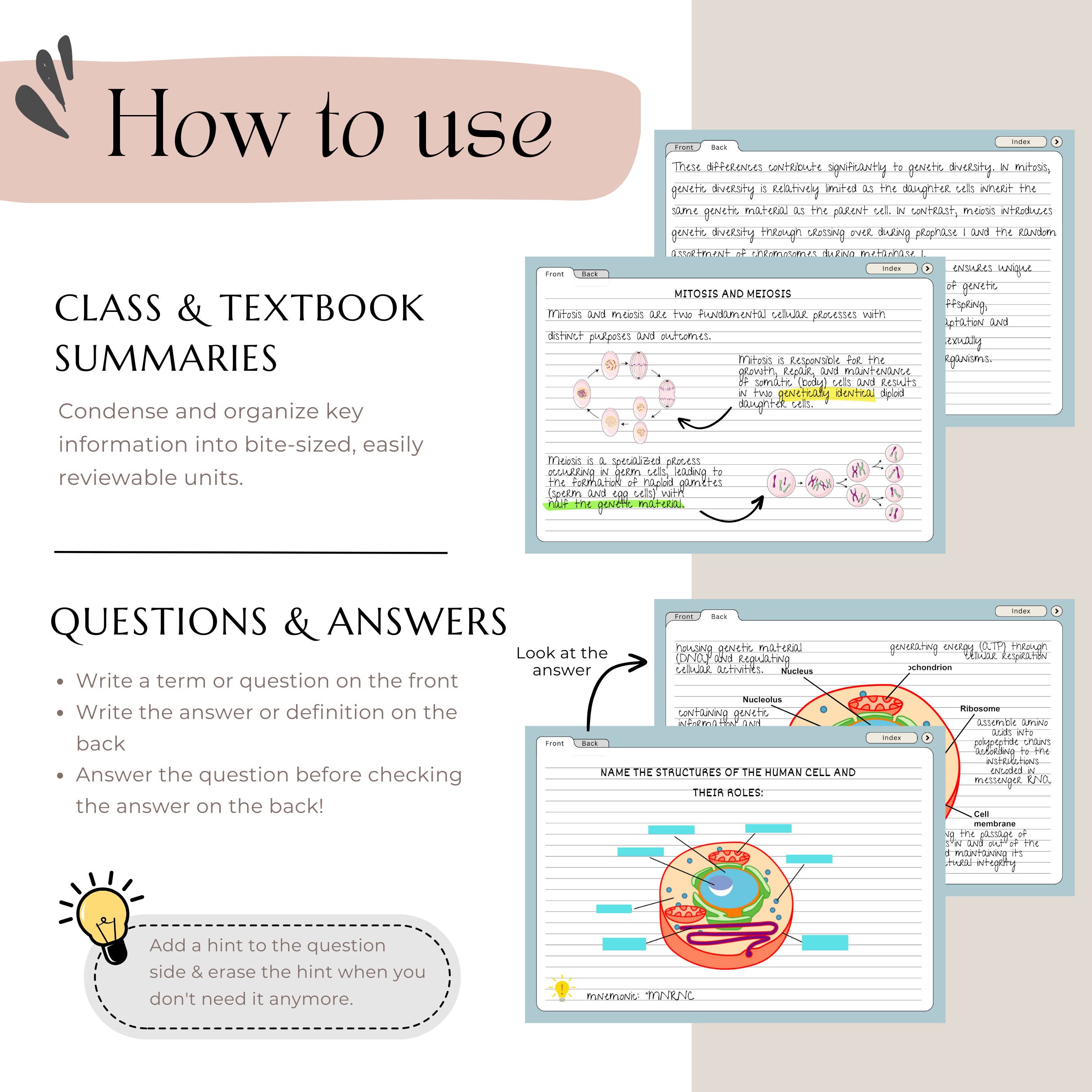 Hyperlinked Digital Flashcard Set for iPad Tablet, Goodnotes ...
