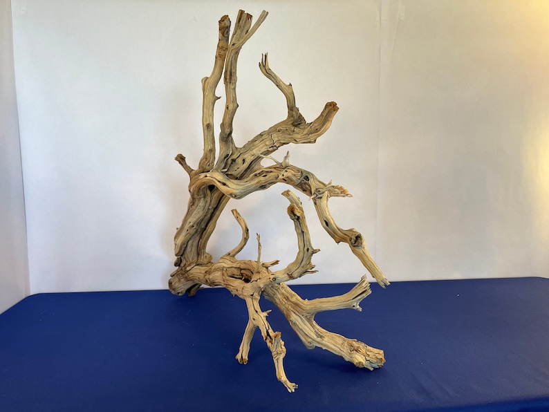35 XL Manzanita Aquascape Centerpiece, Aquarium Wood, Reptile Wood - Etsy
