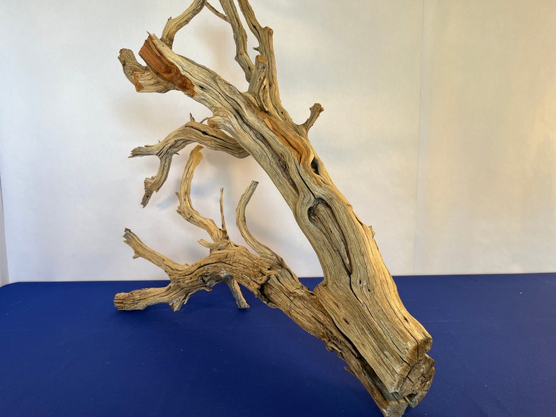 35 XL Manzanita Aquascape Centerpiece, Aquarium Wood, Reptile Wood - Etsy