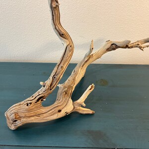 22 Manzanita Aquarium Decor, Aquascape Decor, Reptile Wood - Etsy