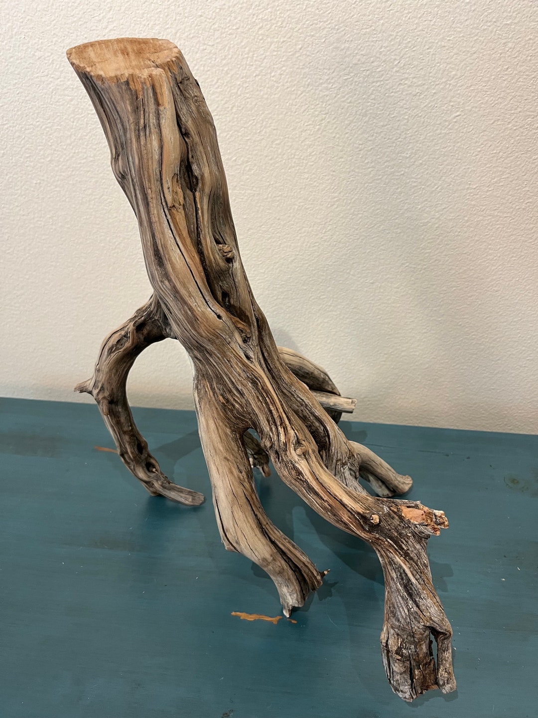 21 Manzanita Root Branch, Amazonian Branch Freestanding Tripid - Etsy