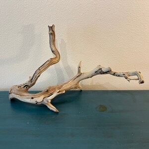 22 Manzanita Aquarium Decor, Aquascape Decor, Reptile Wood - Etsy