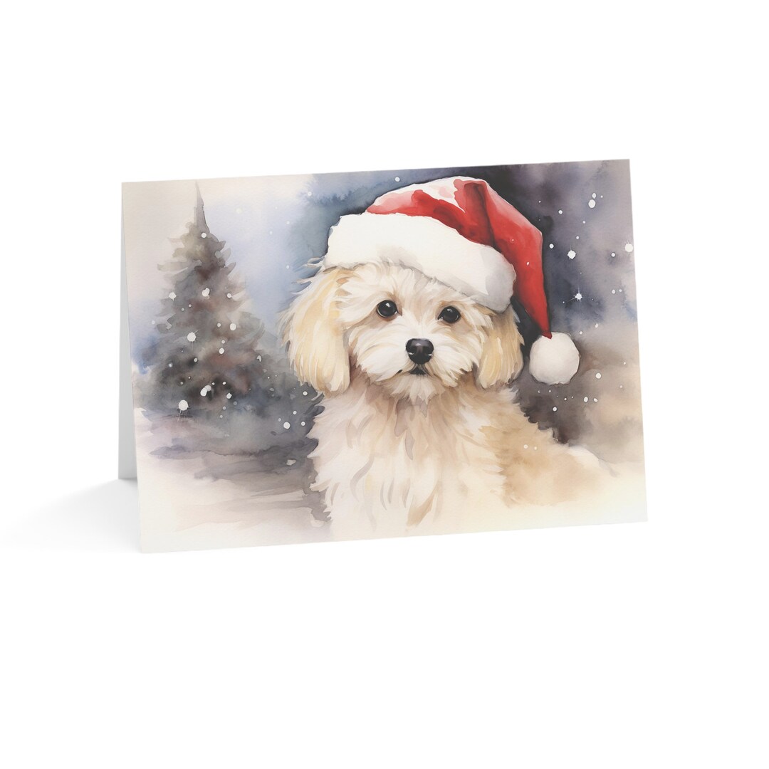 Maltipoo Santa Paws Christmas Card - Dog Lover Christmas Greeting Card ...