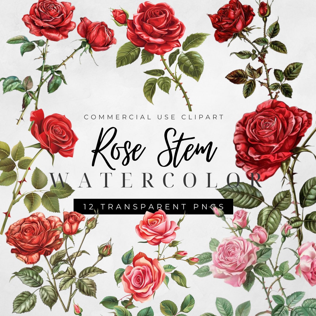 Rose Bud and Stem Clipart, Red Rose Clipart, 12 Rose Stem Clipart Set ...
